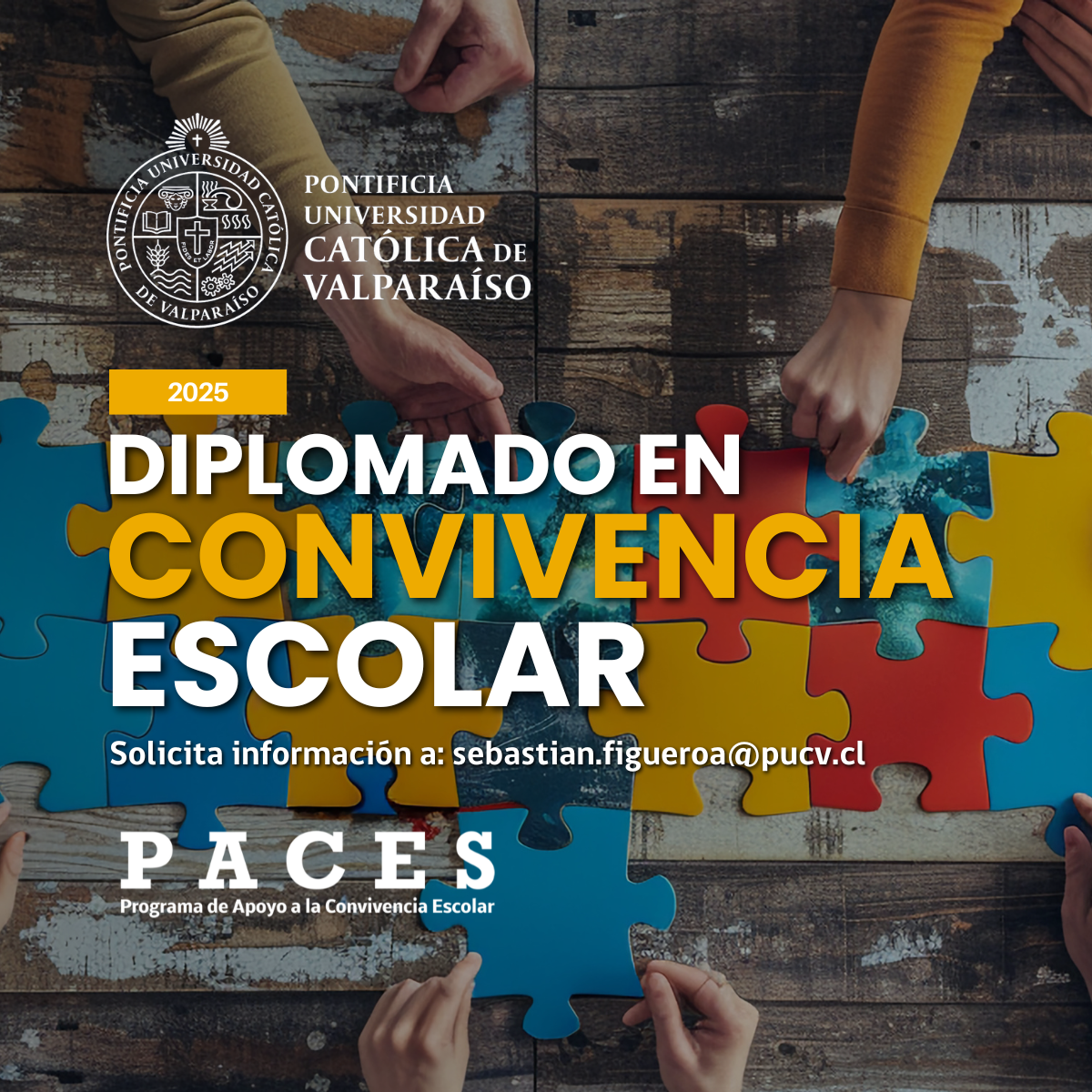 Diplomado en Convivencia Escolar – Programa de Apoyo a la Convivencia Escolar PUCV